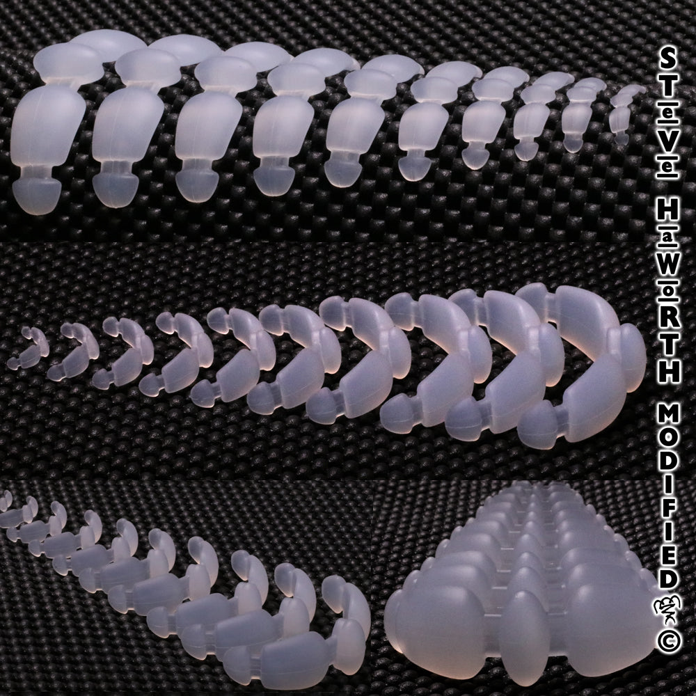 Genital Spines – Steve Haworth Modified LLC